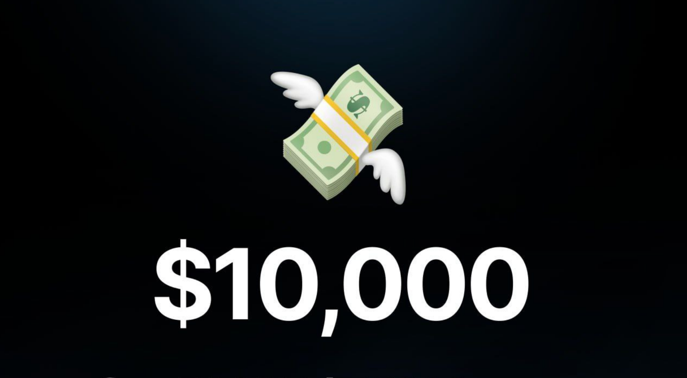 Get Rewards with DYOR/TON Pool on DeDust.io