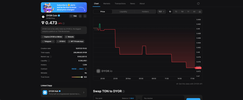 DYOR.io Updates – November 2024