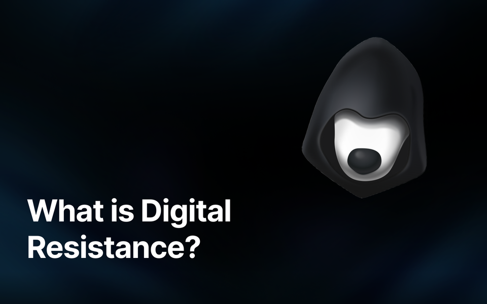 Digital Resistance: History and Goals of the Movement